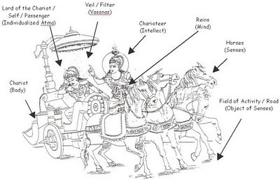 RealPrimalConnection: Serve the Spirit within