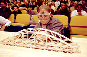 Blog Freedom: Toothpick Bridge Competition