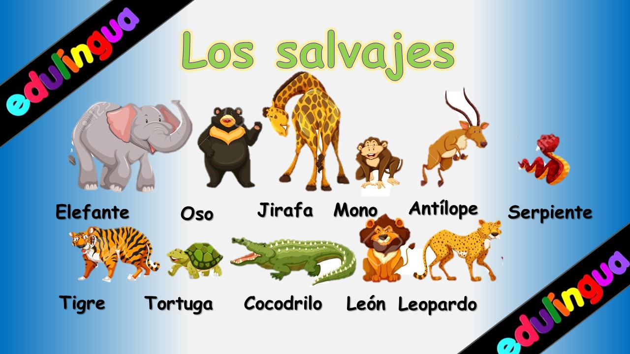 Edulingua : Los Animales