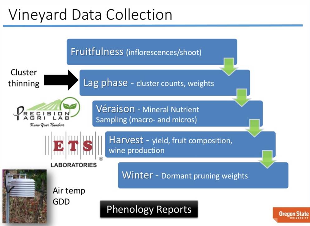Napa Creek : Vineyard Data Collection
