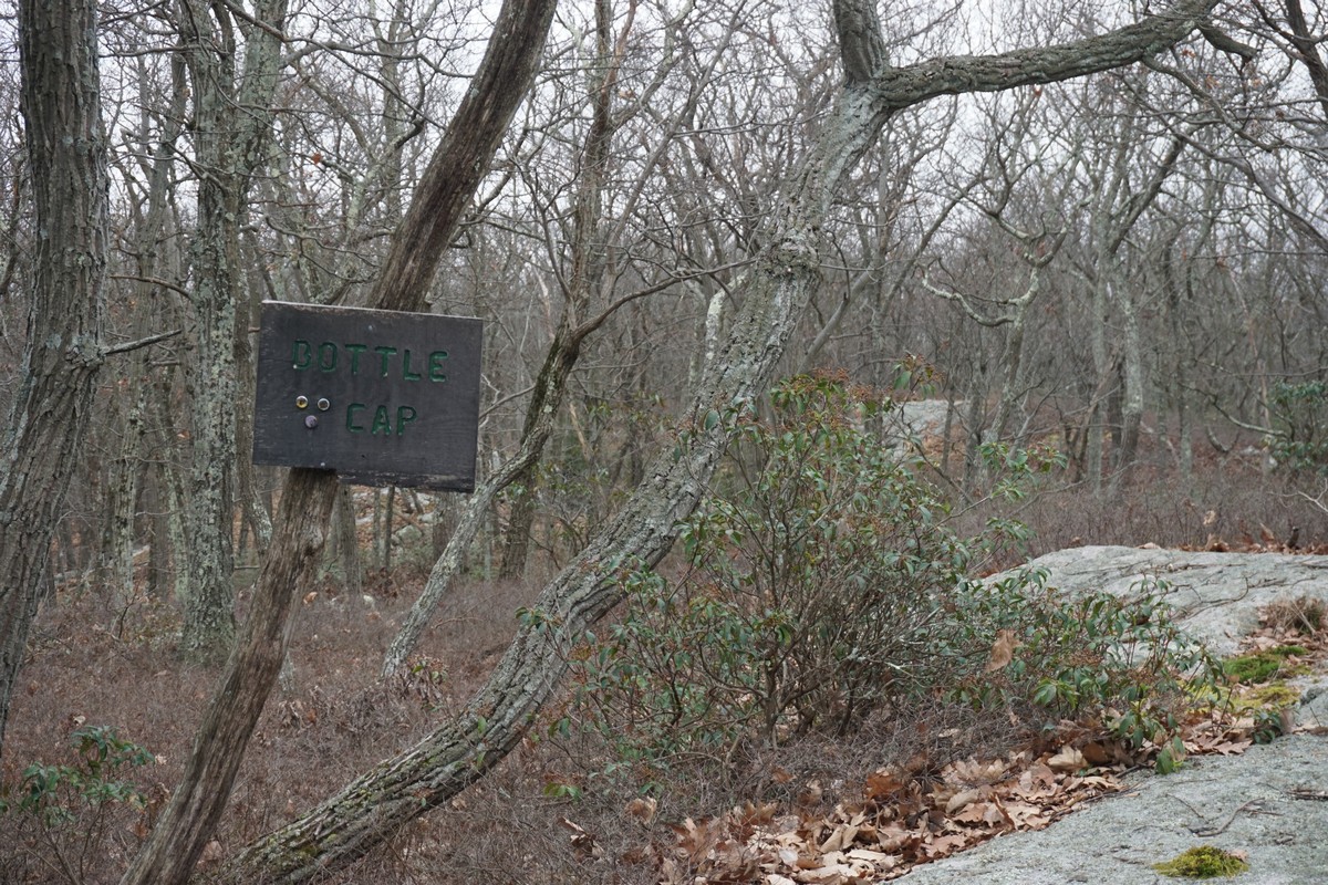 Harriman Hiker: Harriman State Park and Beyond: Pine Swamp Mountain to ...