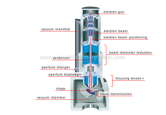 Techno-Science: Cell Structure and Function