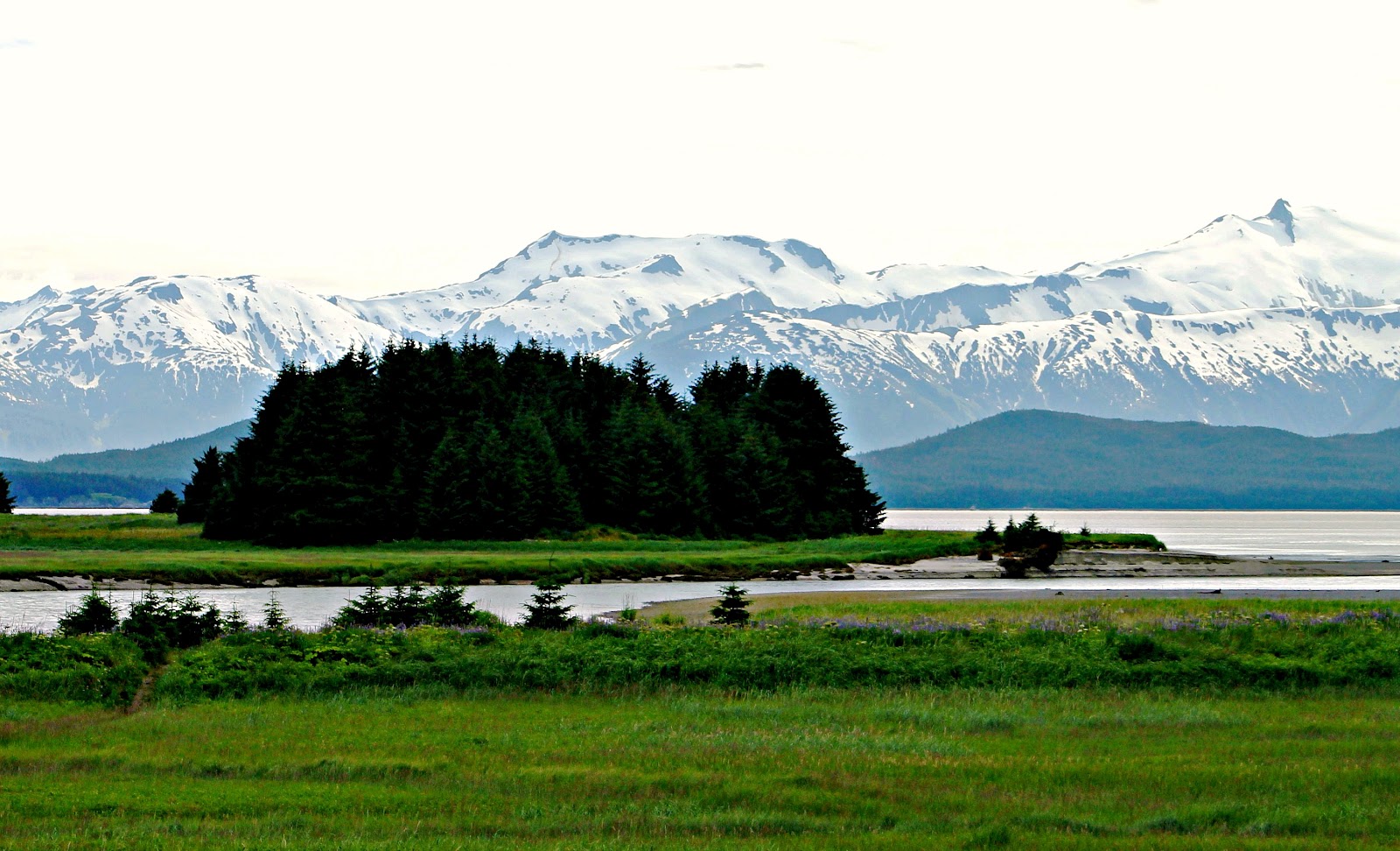 Sandra's Alaska Photography: Mid-July 2012: An Afternoon "Out the Road ...