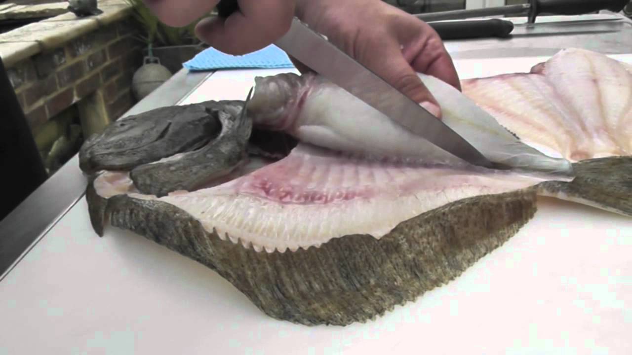 Why is Turbot Fish So Expensive - Black O-Fish