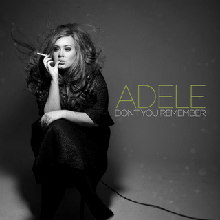 Adele Dont You remember Lyrics | online music lyrics