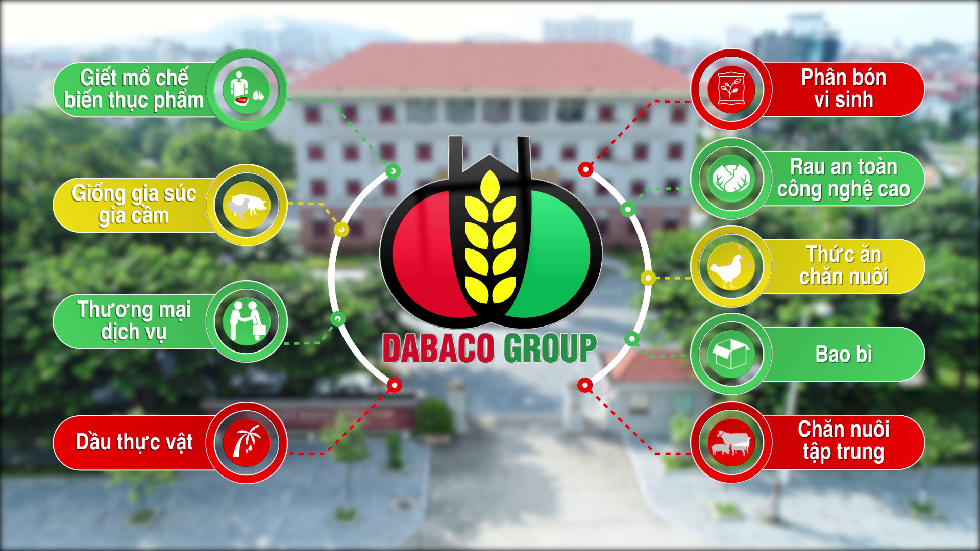 CTCP Tập đoàn Dabaco Việt Nam - Mã CK: DBC | Đầu tư như thế nào