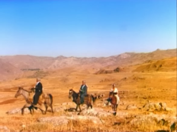 Film Walrus Reviews: Film Atlas (Turkey): The Herd