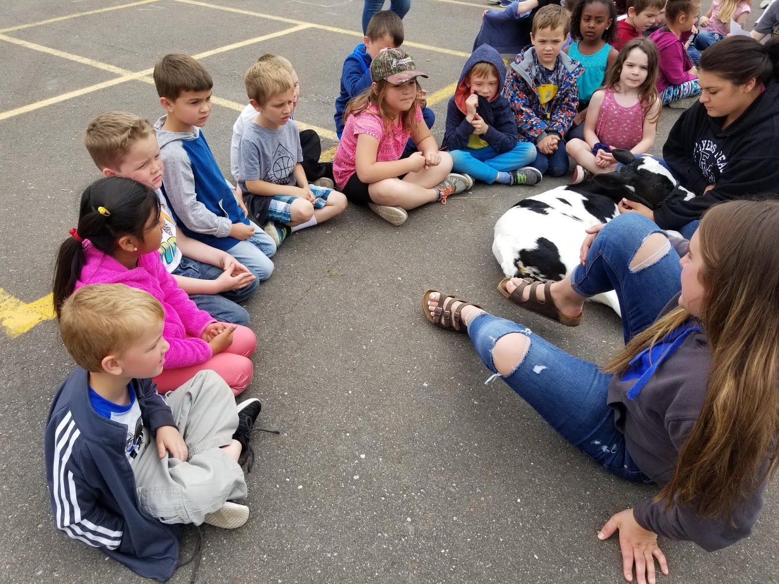 Life as a Kindergarten Student: FFA - Farm Animals Visit