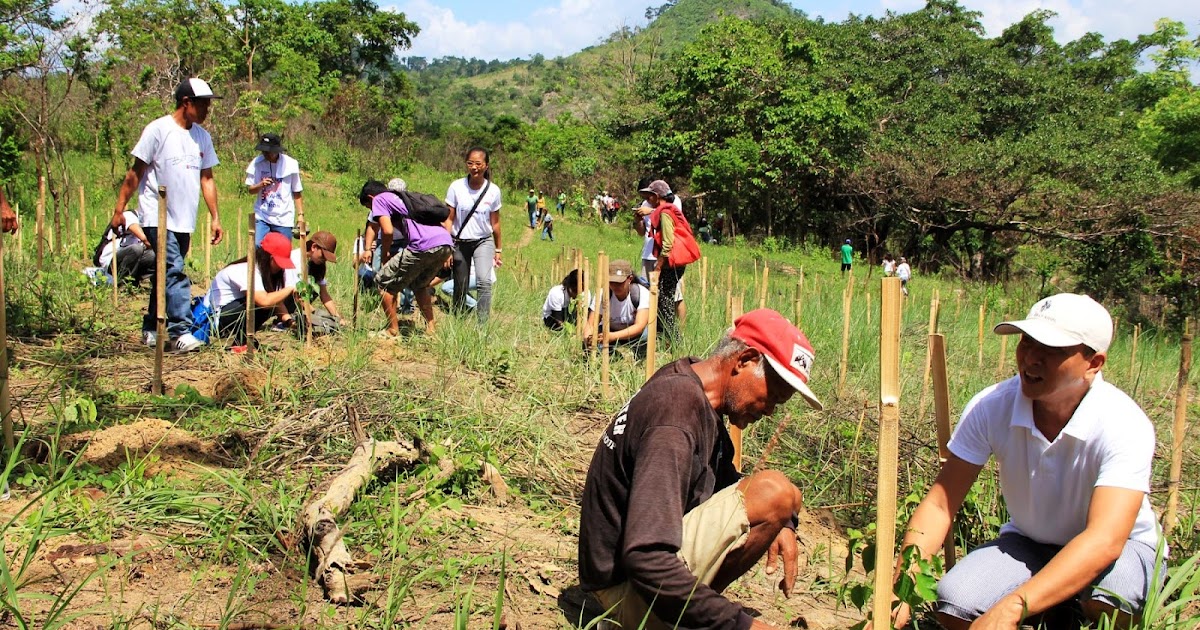 Subic Bay stakeholders plant trees to celebrate Arbor Day | SubicNewsLink