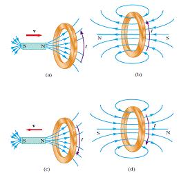 FÍSICA CHIDA CBTis 251