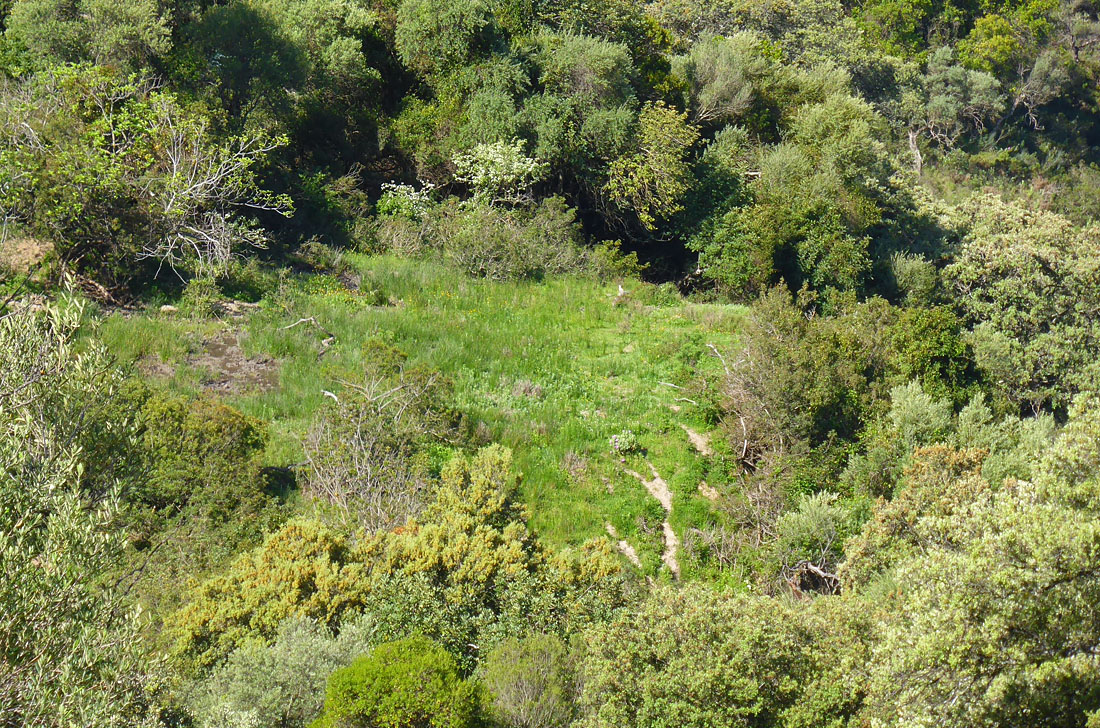 Senderismo El Tercer Tiempo: LA LAJA DE LOS JUNCALES (ALGODONALES)