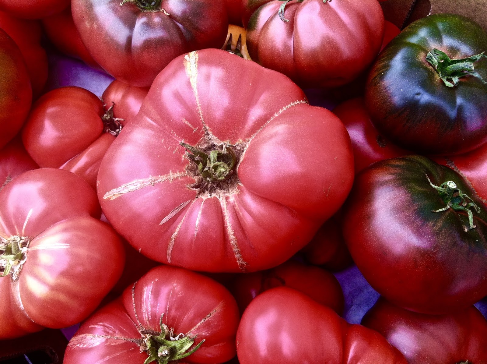 lisa b wellness: Tomato, Tomatl, Solanum Lycopersicum!