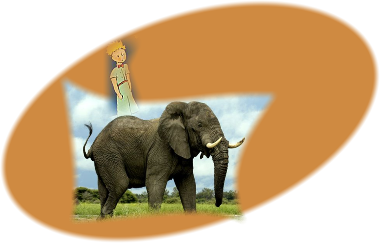 searching for serenity: zen le petit prince elephants