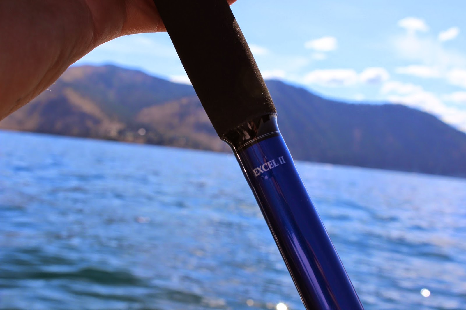T Brinks Fishing: Lamiglas Excel II Rod Review