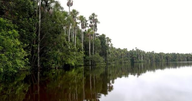 Remanso de paz | Décimas Espinelas y Poemas