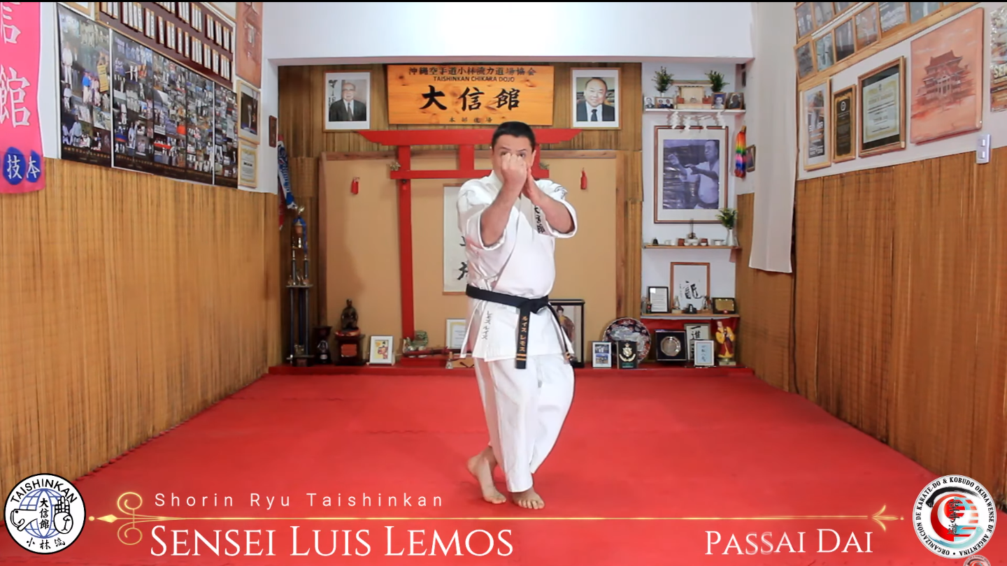 SHORIN RYU TAISHINKAN: EL TAISHINKAN CHIKARA DOJO PARTICIPO DE LOS FESTEJOS DEL "OKINAWA KARATE ...