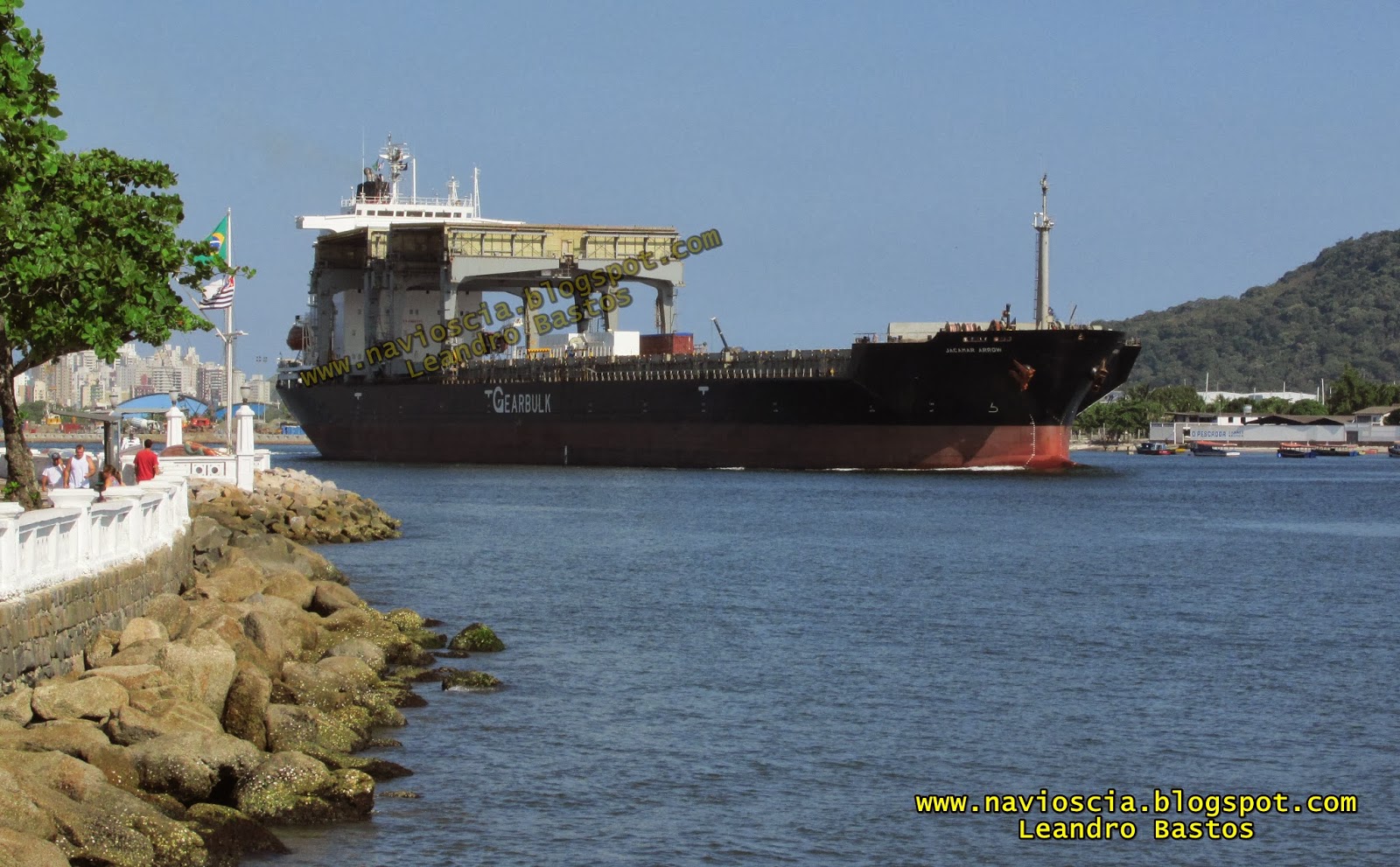 Navios de Santos & CIA: Navio JACAMAR ARROW