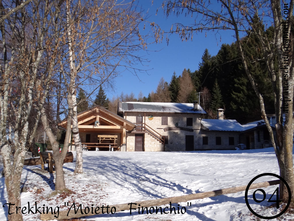 Trekking in Trentino: Moietto > Rifugio "Fratelli Filzi" (Finonchio)