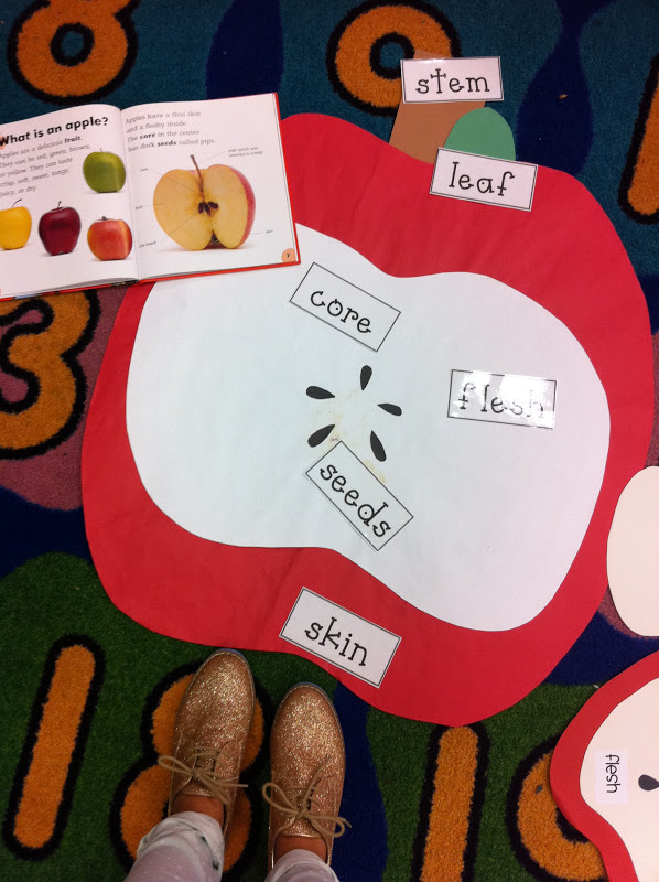 Welcome to Room 36!: apples, apples