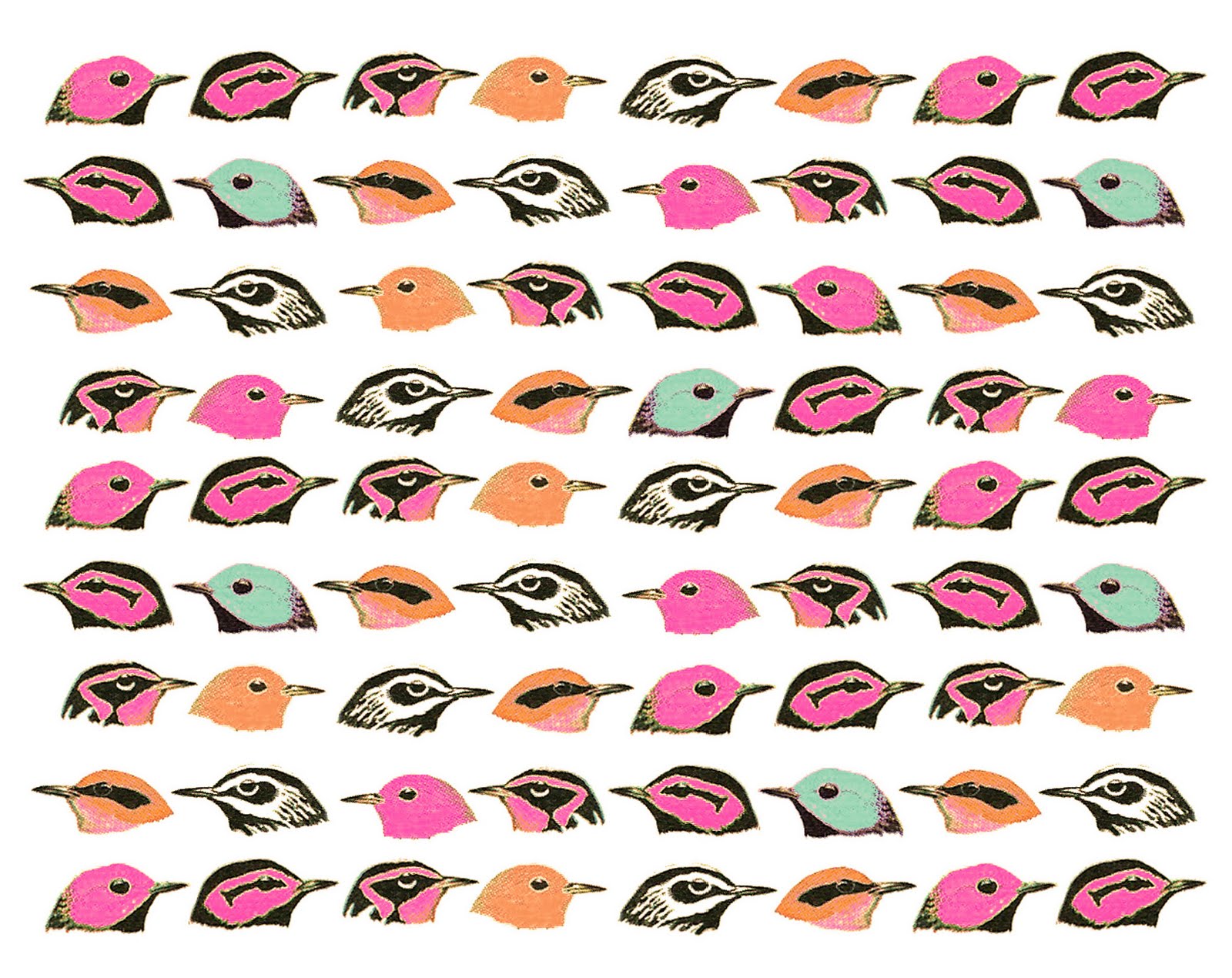 papier fabrik: birds pattern