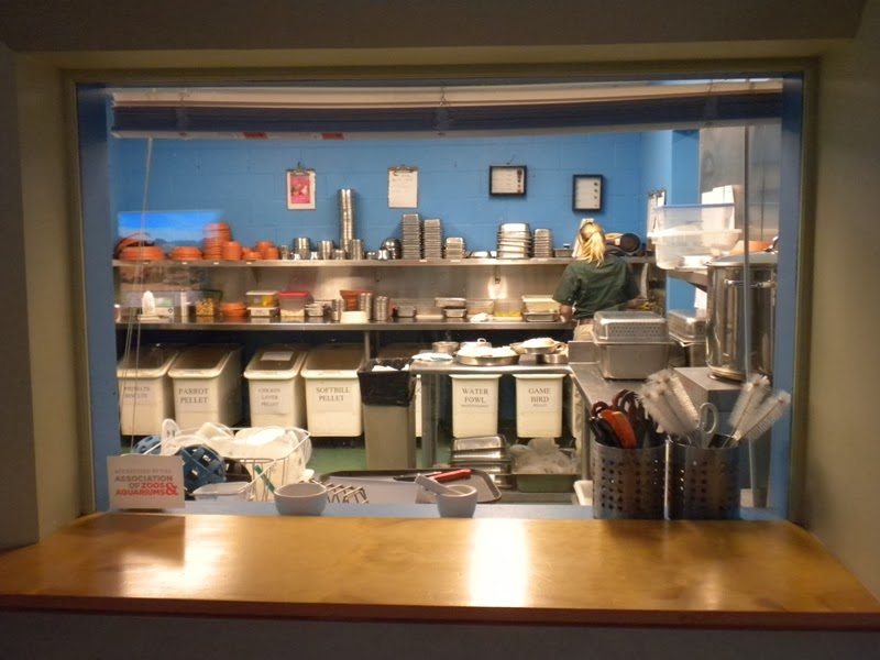 The Zoo Review: Where the Magic Happens