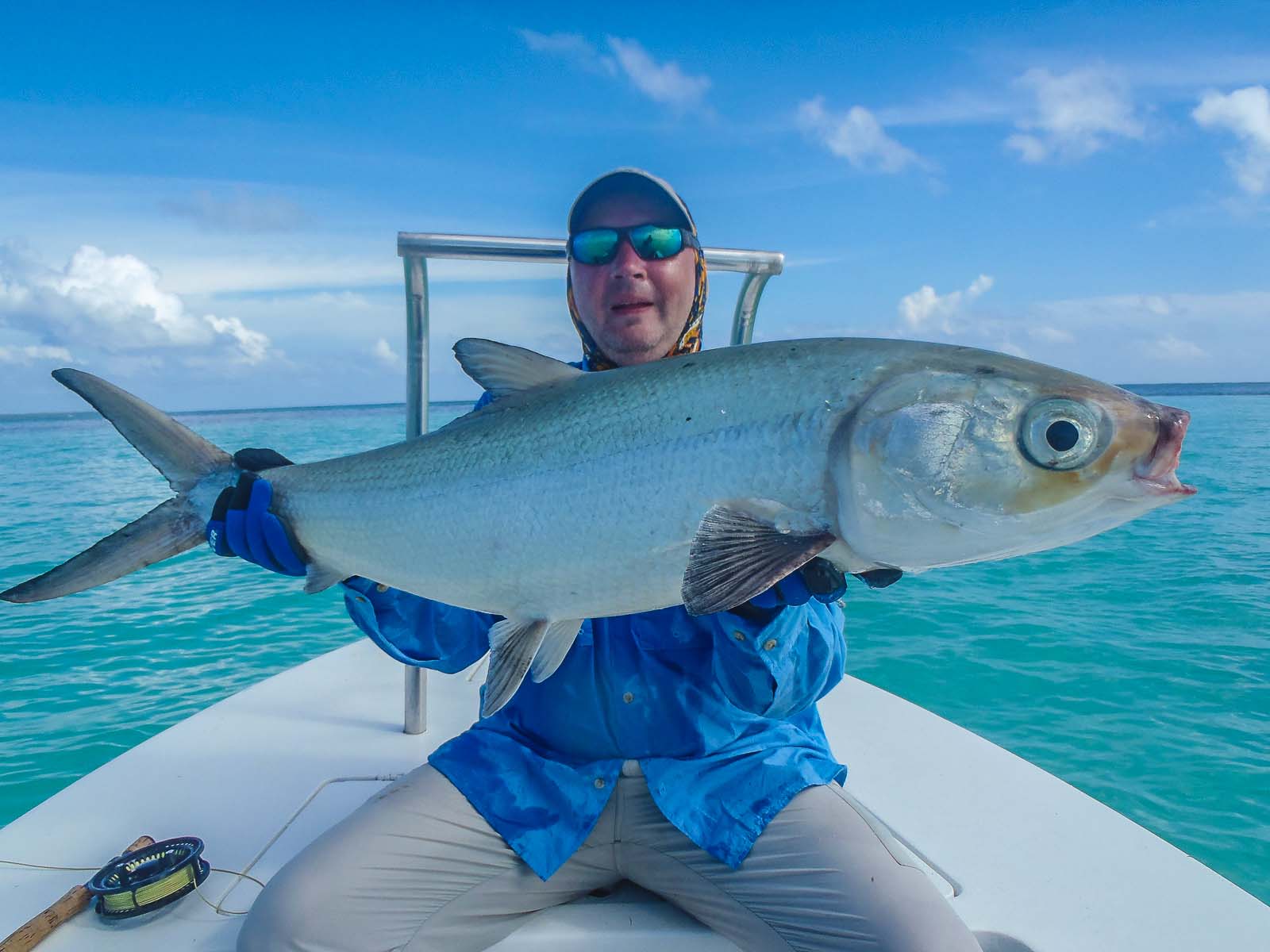 Milkfish Taiwan that Supply Product for Office Canteen Business ...