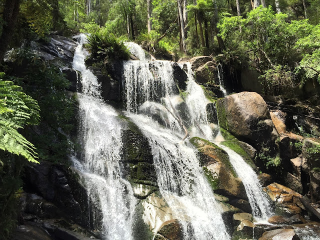 RDO Melbourne: Tooronga Falls, Noojee