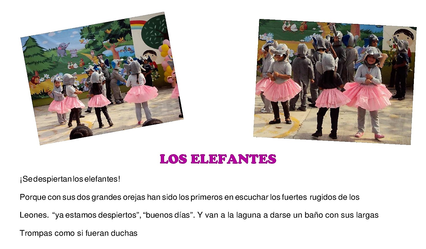 Carnaval de los animales ~ Expresión y apreciación artistica