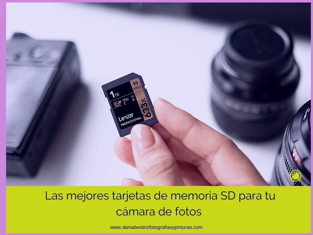 Las mejores tarjetas de memoria SD para tu cámara de fotos | Blog de Fotografía (Club f2.8 )
