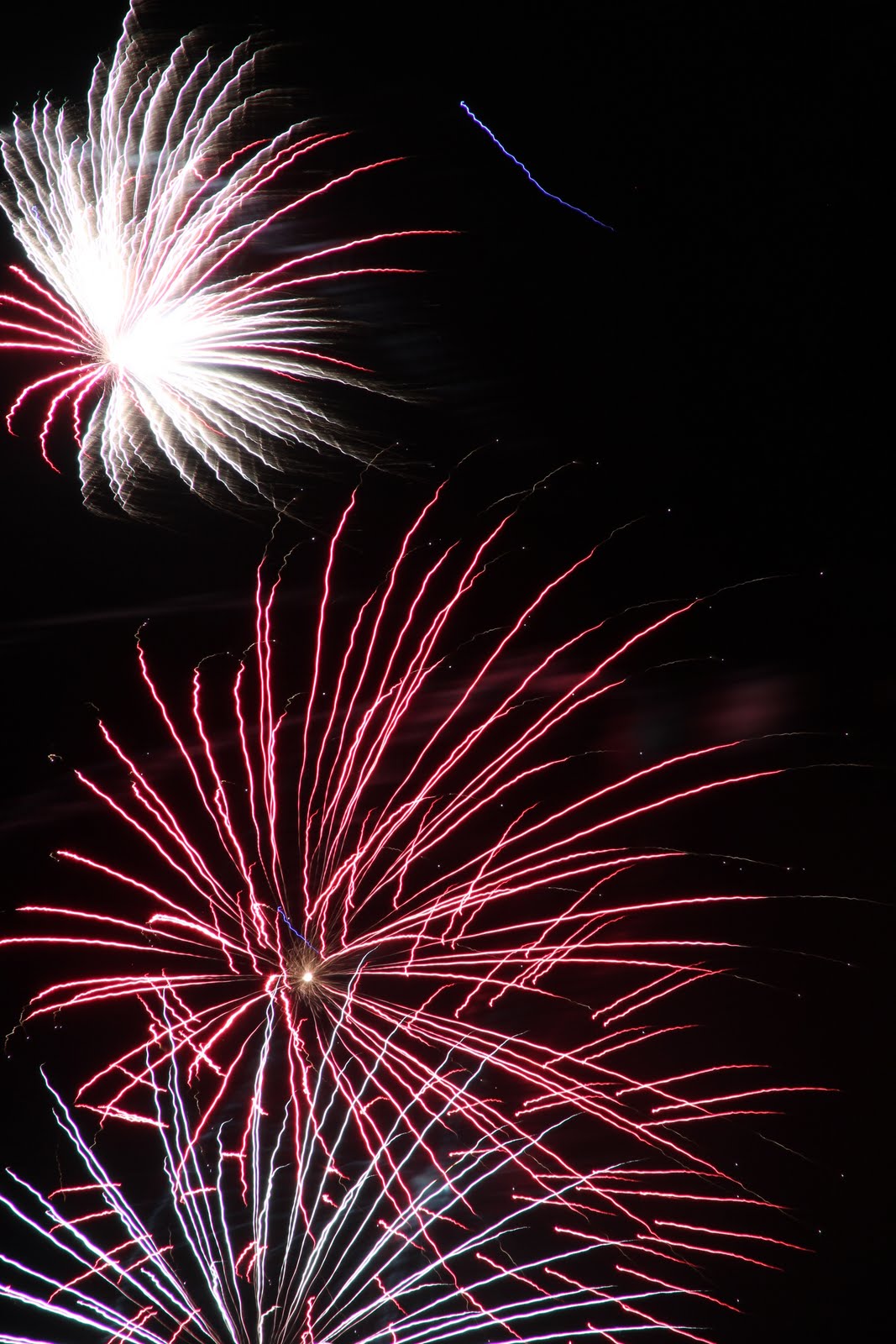 worrell wanderings: firecracker, firecracker~ boom, boom, boom!