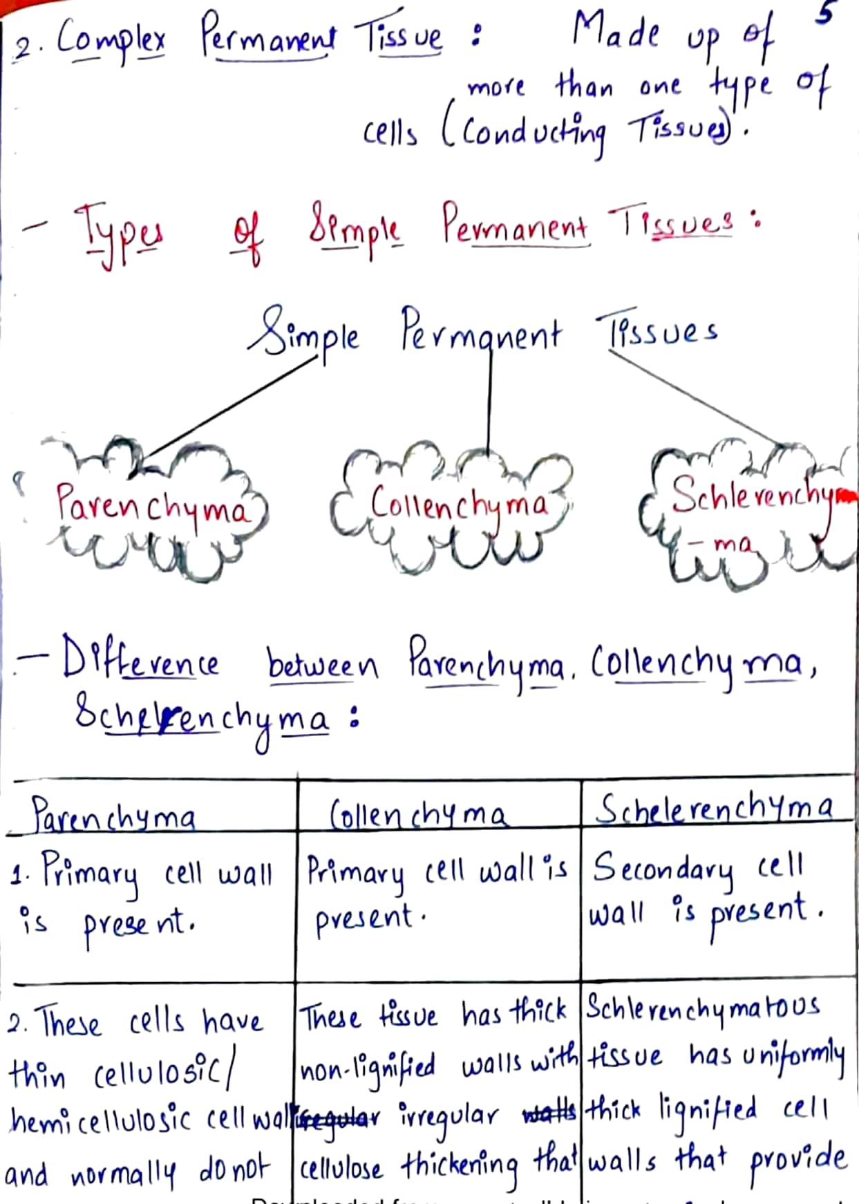 Tissue class 9 notes - Studypur