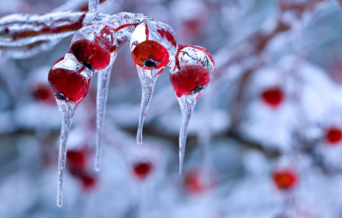 winter photography | Nice Pics Gallery