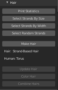 Diffeomorphic: Hair Section