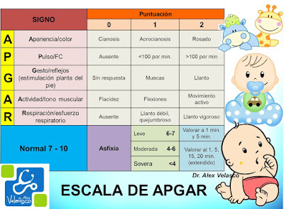 ESCALAS DE VALORACIÓN DEL RECIÉN NACIDO ~ Dr. Alex Velasco