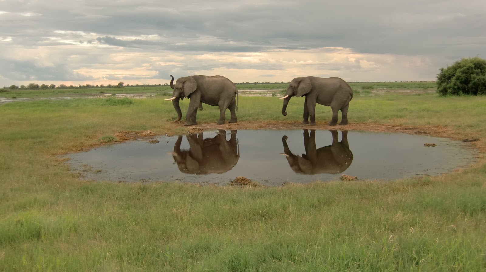 Ruta por el Delta del Okavango