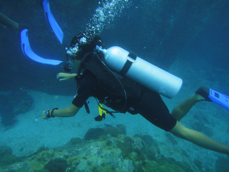 PENGHUNI GUA: SCUBA LABAS REEF DI PULAU TIOMAN 4