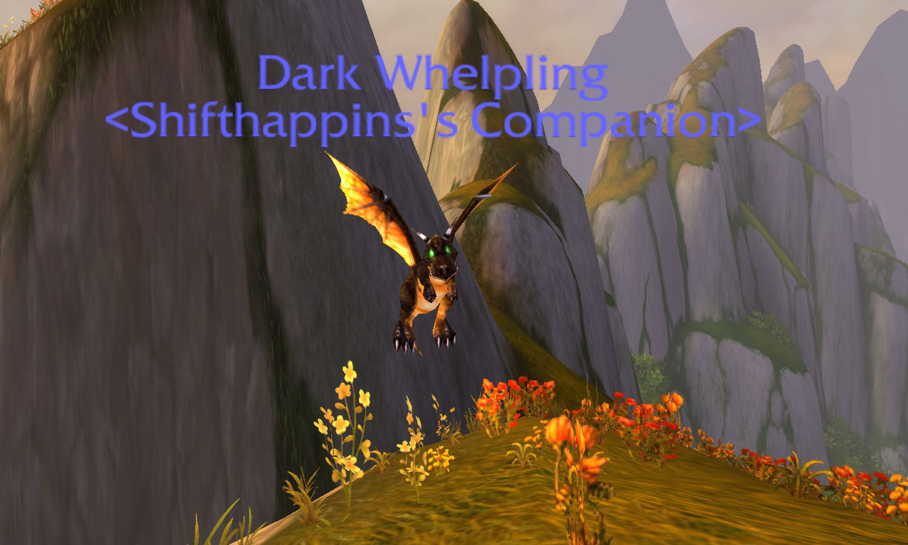 WOW Companion Collector: Dark Whelpling (rare lvl 1)