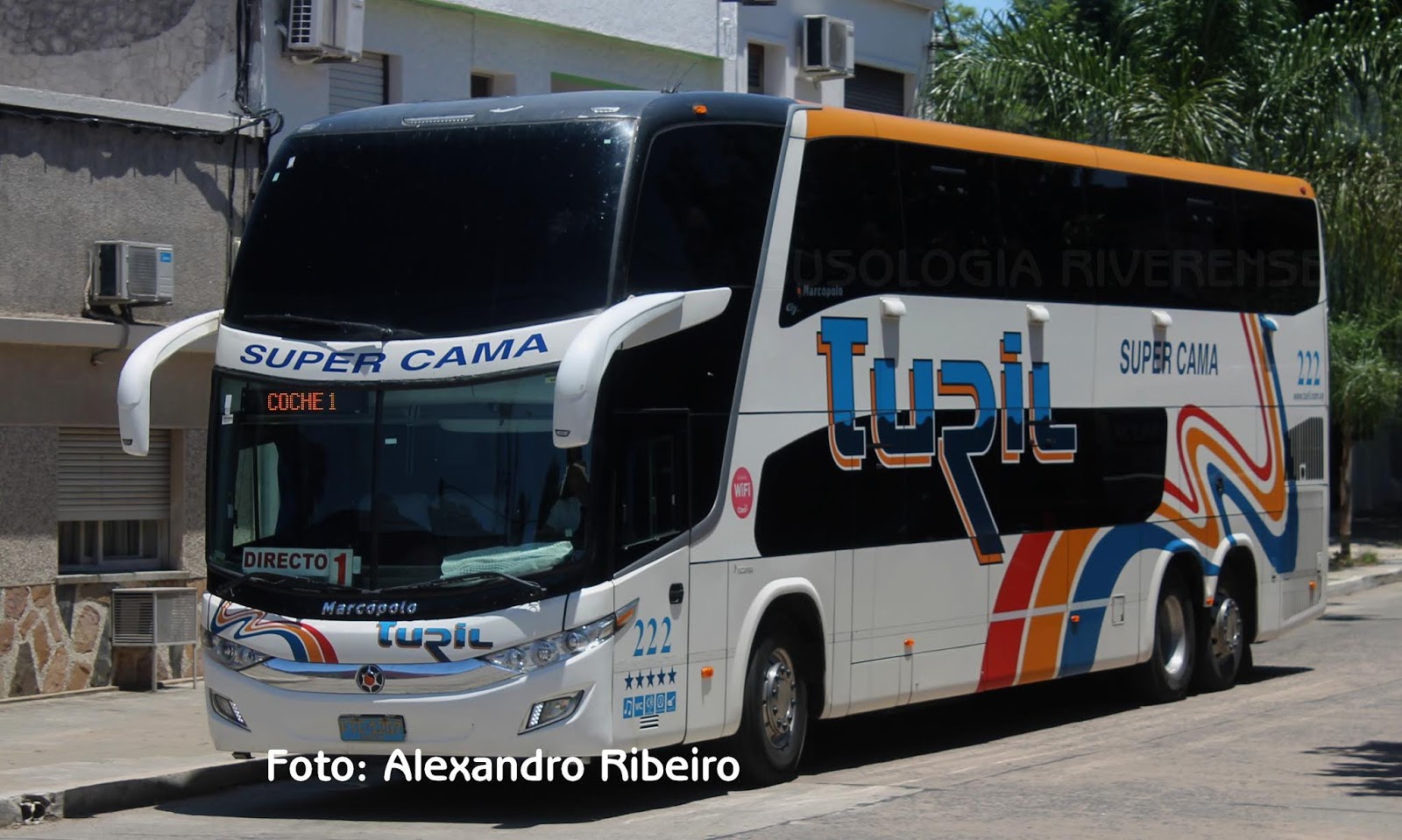 Busologia Riverense: Imagenes varias