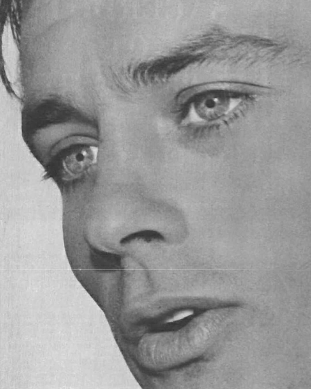 ALAIN DELON: RETRATO POR JEAN CAU