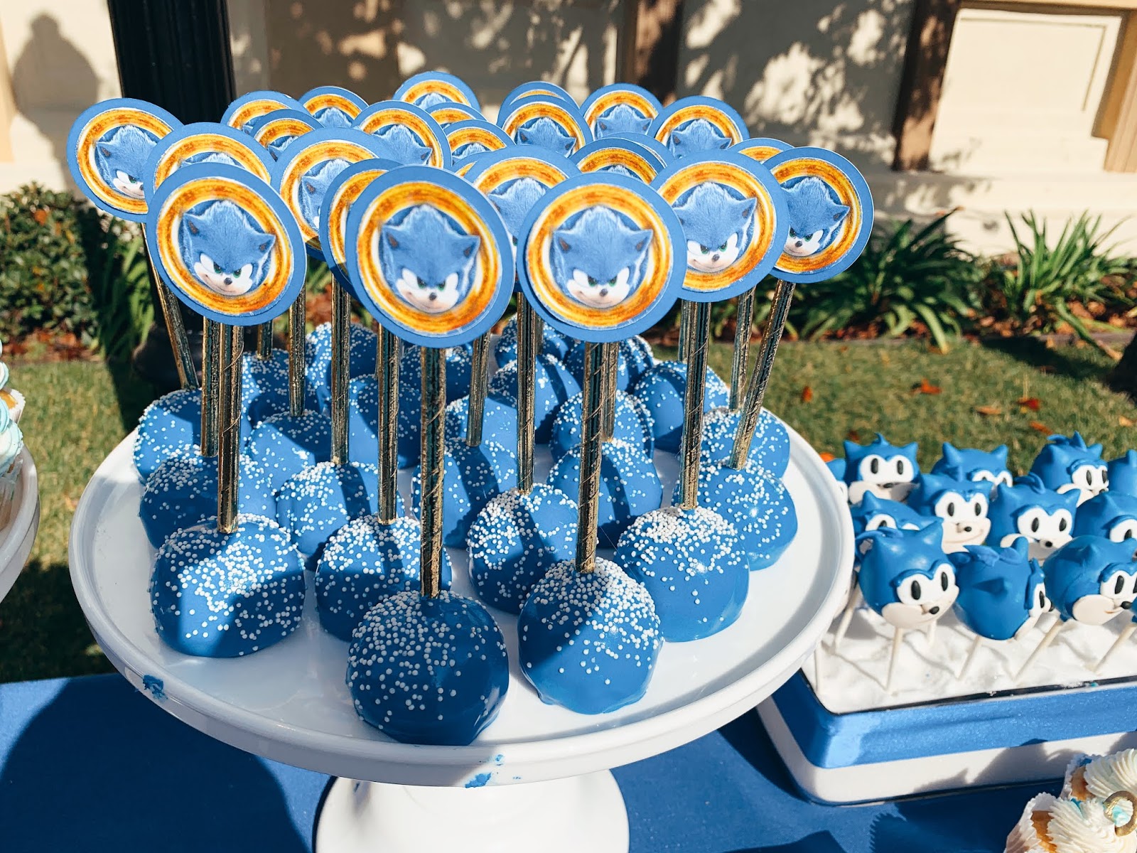 Sonic The HedgeHog Press Tour - THE PATRICIOS