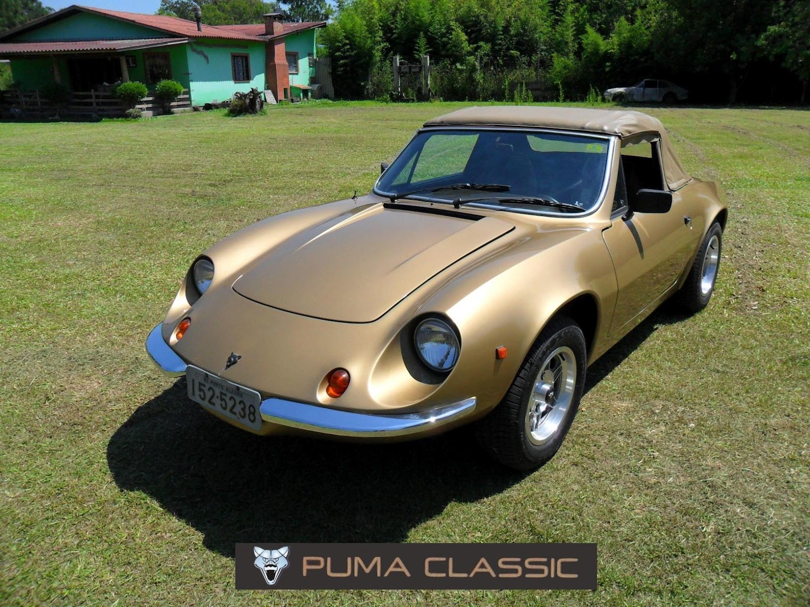 Puma Classic: Puma de amigo - GTS 1980 Monocromático Ouro