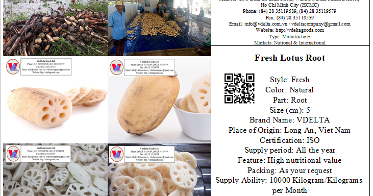 Fresh Lotus Root
