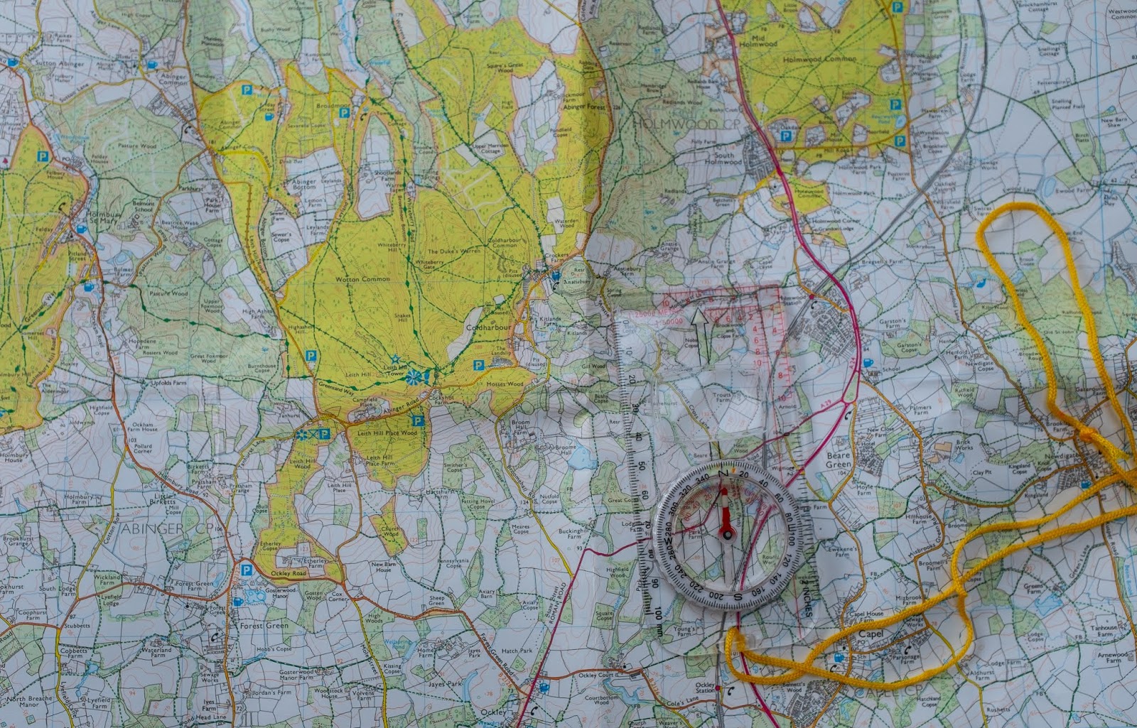 London Calling: LEITH HILL WALK with Tony Brown and John Lodge.