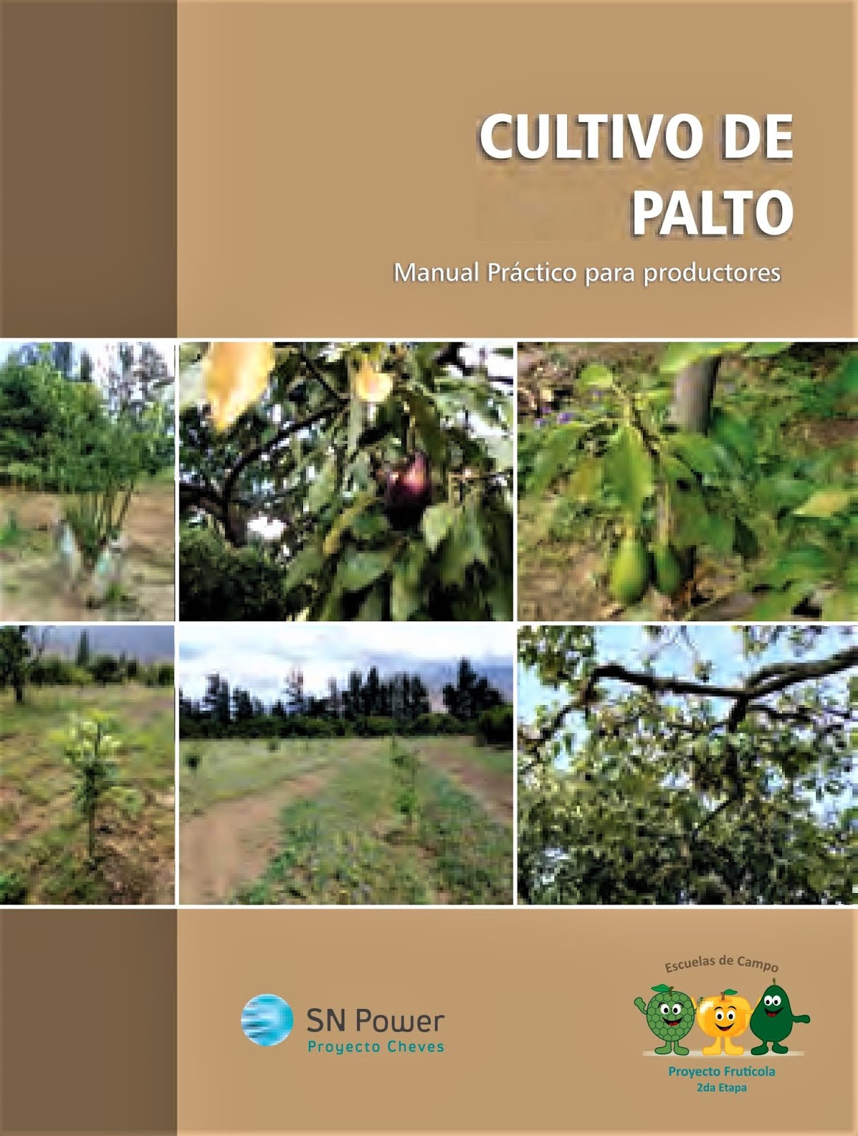 agrosank: CULTIVO DE PALTO: Manual Práctico para Productores