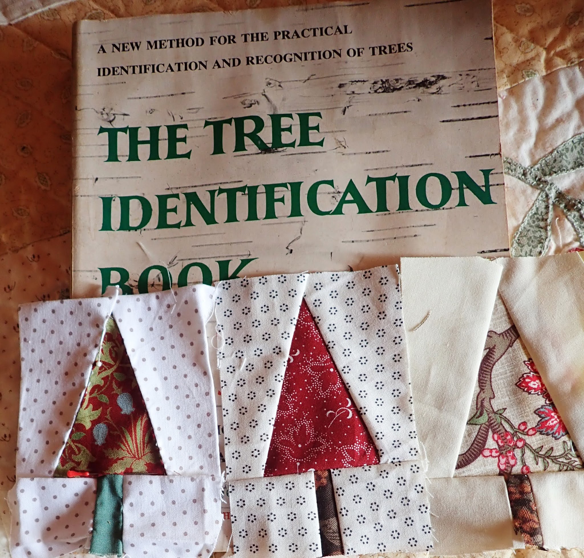 Canadian Needle Nana: What I Did on The Weekend, Tiny Trees Dilemma ...