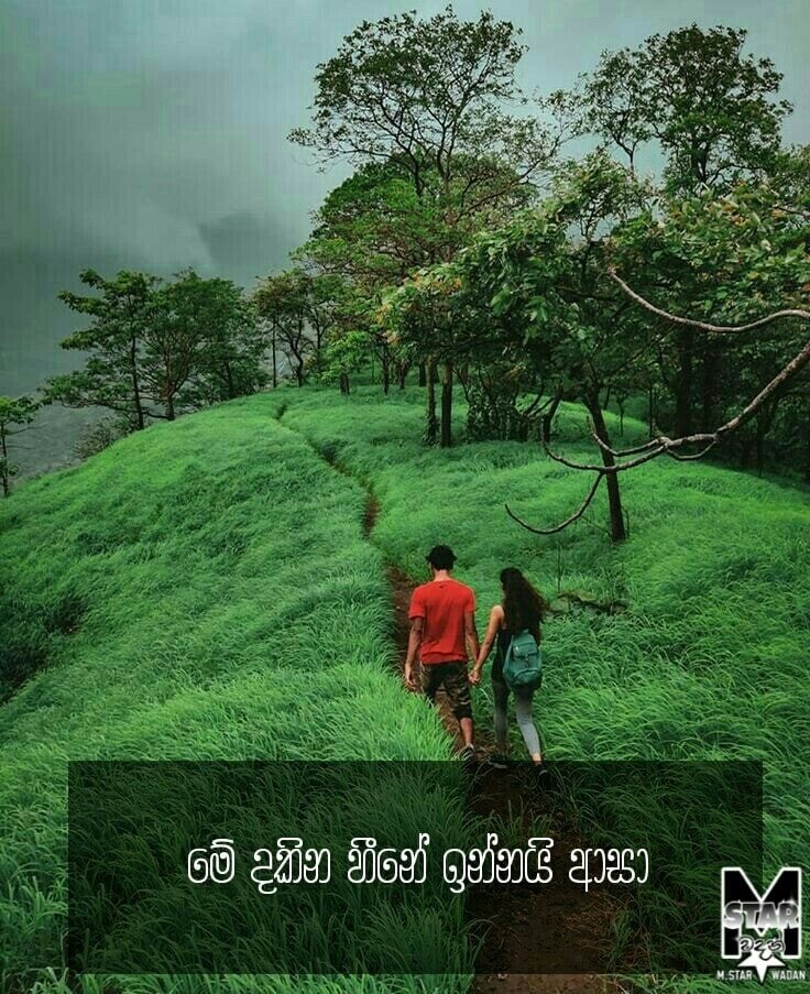 Sinhala traveling quotes | Sinhala traveling wadan collection 02 ...