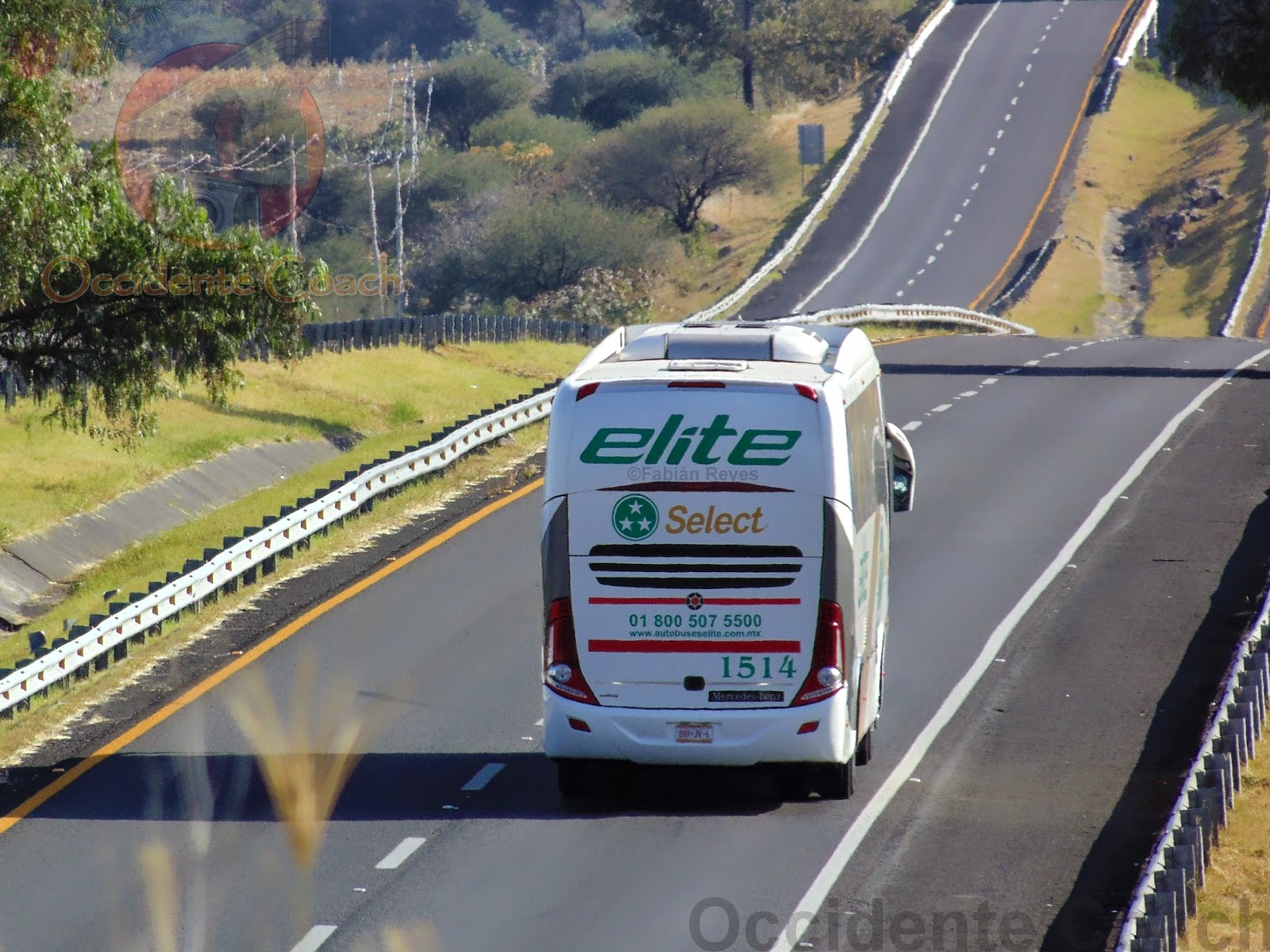 Occidente Coach: Elite Select