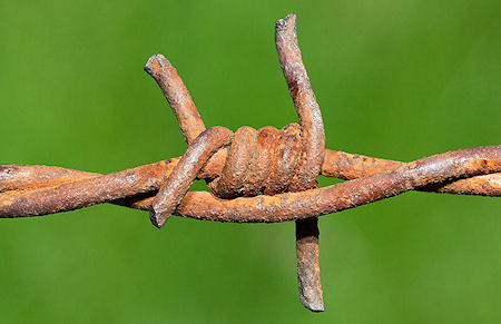 The Presurfer: August 2011