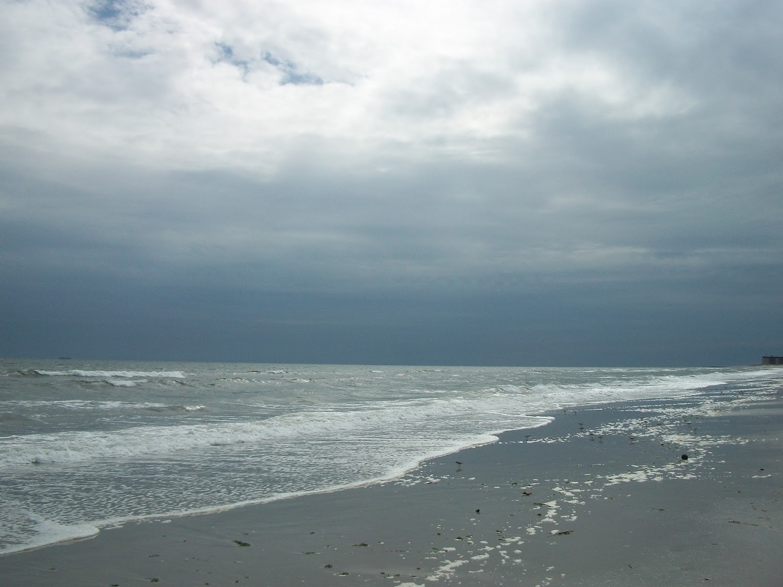 Gone To The Beach: Mist and Fog