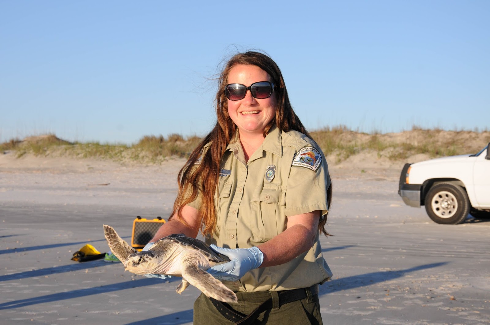 Marine Animal Rescue Team Blog